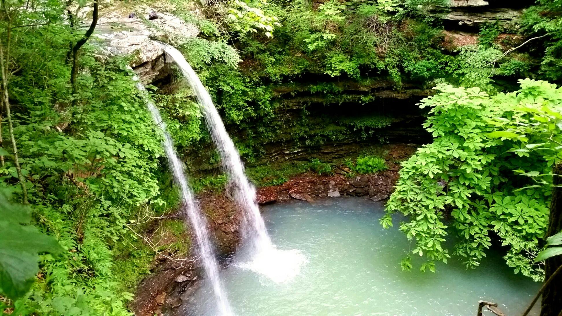 Buffalo River Region ELK | Travel Eureka Springs